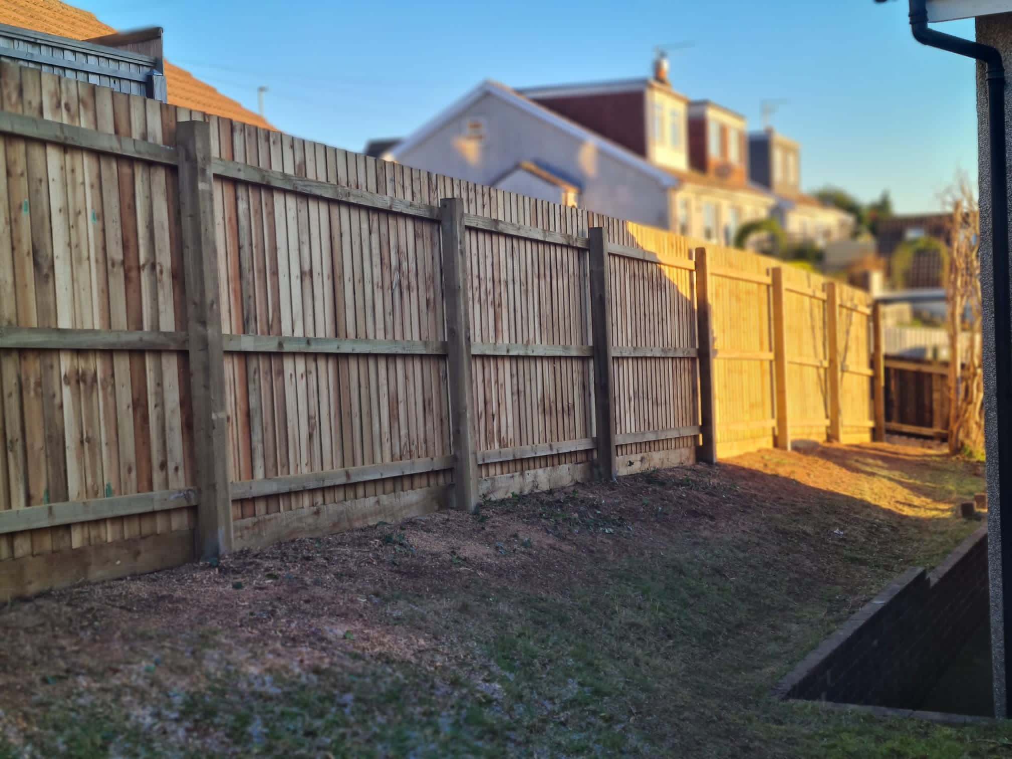 Hedge removal, new fence - Risca - JT Landscapes, Fencing & Tree Services